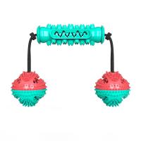 China New Type Top Sale Eco-friendly Dog Toothbrush Toy Stick Rope Pet Molar Bite Ball Toys for sale
