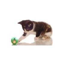 China Manufacturers Wholesale All Kinds Of Color Pet Training Toy Puppy Tennis Cat Toy Ball for sale
