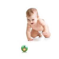 China Manufacturers Wholesale All Kinds Of Color Pet Training Toy Puppy Tennis Cat Toy Ball for sale