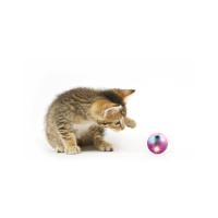 China Manufacturers Wholesale All Kinds Of Color Pet Training Toy Puppy Tennis Cat Toy Ball for sale
