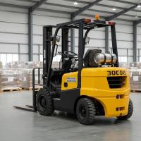 China Durable Diesel Engine Forklift with 3000kg Capacity and Japanese Engine for sale