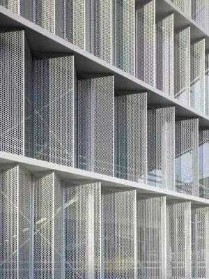 China C-Shaped Aluminum Ceiling Strips 0.6-1.2mm Thickness with 8-10 Year Warranty for Interior and Exterior Applications for sale