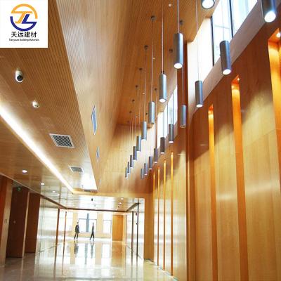 China C-Shaped Aluminum Ceiling Strip 4mm Interior Metal Wall Cladding 100mm Width for sale
