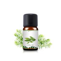 China 10ml 0.33fl.oz 15 ml Glass Essential Oil Bottle with Euro Dropper Cap for sale