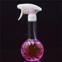 China PETG spray bottle, 300ml, 350ml spray bottle, long mouth plastic bottle for sale