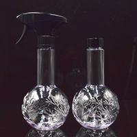 China PETG spray bottle, 300ml, 350ml spray bottle, long mouth plastic bottle for sale