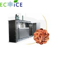 China Industrial Seafood Freezing System for Fish Processing Plants Handling Over 10 Tons Daily Production Contact Plate Freezer for sale