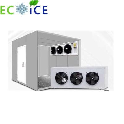 China Fruit Cold Room Meat Cold Storage Room Cold Room Vegetable Cold Storage Room Industrial Freezer for sale