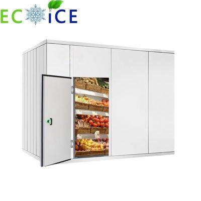 China Cold Storage Room Cooling and Freezing Room Seafood Cold Room Fruit Cold Storage Room Large Cold Storage for sale
