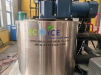 China Ecoice  Stainless Steel Best Commercial Clear 3t Ice Maker Ice Flake Makers Machine for Food and Beverage for sale