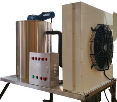 China Ecoice 3Ton/Day Stainless Steel Best Commercial Flake Ice Making Machine for Seafood & Fishery for sale