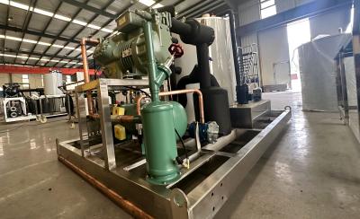 China Ecoice Hot Sale 10 Tons Air/Water CoolingFlake Ice Machine Snowflake Ice Machine Made of Stainless Steel 304 for sale
