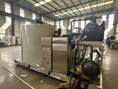 China Ecoice Hot Sale 10 Tons Industrial Ice Flake Machine Seawater Flake Ice Machine For Fresh Fresh for sale