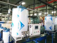 China ECOICE Factory 1Ton Commercial Flake Ice Machine with ice storage with good quality for sale