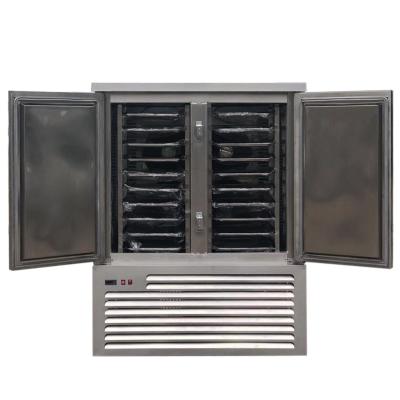 China SS 304 material low temperature seafood blast freezer for fish for sale