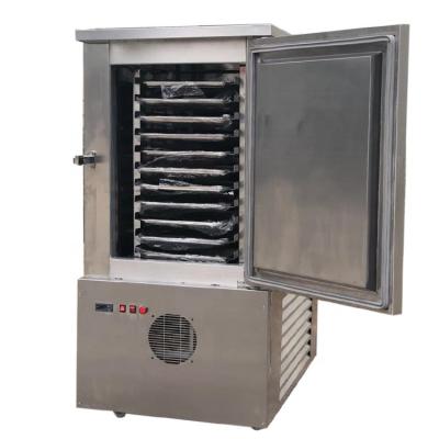 China Commercial Fast Cooling Automatic 10 trays Blast Freezer for Fish for sale