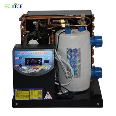 China China 2p Compressor Aquarium Industrial Water Chiller with low price High Quality for sale