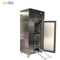 China Compact 300L Air Blast Freezer Cold Plate Freezer Deep Freezer Commercial with Trolleys for sale