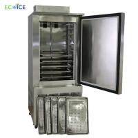 China Compact 300L Air Blast Freezer Cold Plate Freezer Deep Freezer Commercial with Trolleys for sale