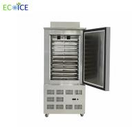 China Ss 304 Material 4-6 Trays Low Temperature Seafood Blast Freezer for Fish for sale