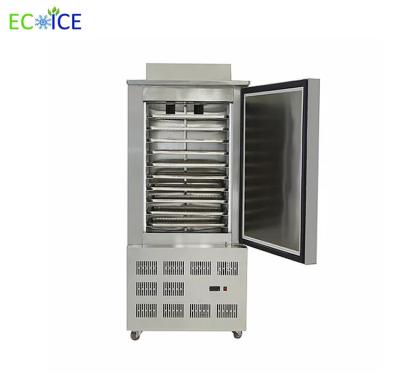 China Ss 304 Material 4-6 Trays Low Temperature Seafood Blast Freezer for Fish for sale