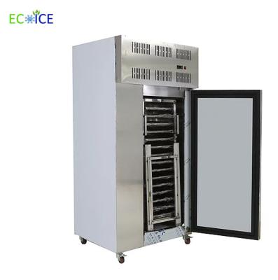 China Hot Sale Commercial Fast Cooling Automatic Blast Freezer Cabinet with good quality for fish for sale