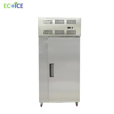 China Hot Sale Commercial Fast Cooling Automatic 300 L Blast Freezer for Fish Blast Freezing Machin with good quality for fish for sale