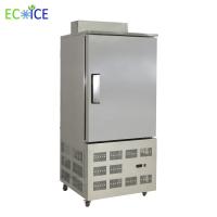 China Hot Sale Factory Supply Industrial 178 L Fast Cooling Blast Freezer for Food Quick Freezing Machine for fish for sale