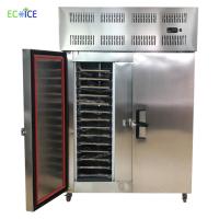 China Hot Sale Factory Supply Industrial 178 L Fast Cooling Blast Freezer for Food Quick Freezing Machine for fish for sale