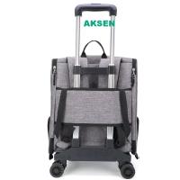 China POLYESTER Pet Carrier Airline Approved Space Capsule Travel Bag for Cats and Dogs Outdoor Adventures for sale
