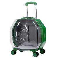 China Anti-Theft Clear Pet Carrier Portable Pet Holder Waterproof Travel Suitcase Polyester Lining Material Breathable Pet Carry for sale