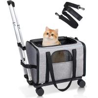 China PC ABS Material Portable Pet Travel Bag Convenient Hand-Carry for Cats and Small Dogs on the Go Feeding Time Reminder Included for sale