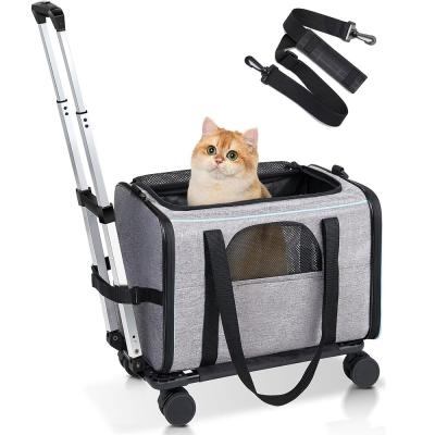 China PC ABS Material Portable Pet Travel Bag Convenient Hand-Carry for Cats and Small Dogs on the Go Feeding Time Reminder Included for sale