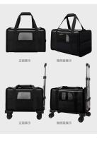 China 2-in-1 Detachable Rolling Pet Carrier for sale
