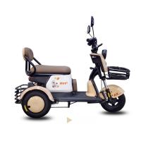 China Adult Electric Tricycle with Child Seat 48V 20Ah 800W Cute Electric Motorcycle for Passenger for sale
