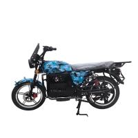 China Military Electric Motorcycle 1500W 72V Heavy Duty Cargo Bike for Africa for sale