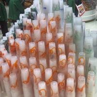 China Transparent PET Disposable Cold Drinking 16oz Plastic Cups with Custom Size and Logo for sale