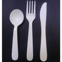 China Customized Eco-Friendly Disposable Plastic Cutlery Set Spoon Fork Knife 30-Day Return for sale