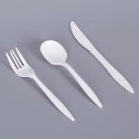 China Straight Style Disposable Biodegradable Plastic Knife Fork Spoon 2.700kg Gross Weight for sale
