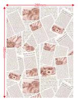 China Custom Color Food Oil Absorbing Baking Paper 30cm Width Disposable Eco Friendly Wrapping Paper for sale