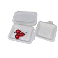 China Square Plate Disposable Products Food Packaging Cake with Biodegradable Material for sale