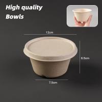 China Different Size Eco-Friendly Sugarcane Pulp Bowl Biodegradable Disposable Tableware for sale