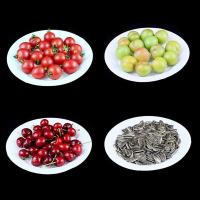 China Eco-Friendly Biodegradable Paper Pulp Food Plate Paper Food Containers Customization for sale