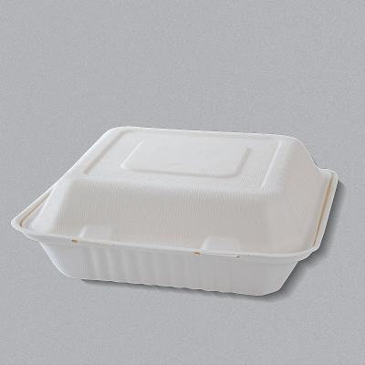 China Eco-Friendly Take Out Food Container with 3 Compartments Made from Sugarcane Pulp for sale