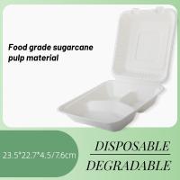 China Convenient Food Container Compostable Disposable Tableware for Eco-Friendly Take Away for sale