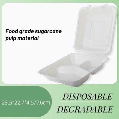 China Convenient Food Container Compostable Disposable Tableware for Eco-Friendly Take Away for sale