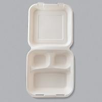 China Convenient Food Container Compostable Disposable Tableware for Eco-Friendly Take Away for sale