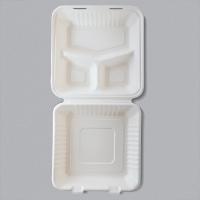 China Convenient Food Container Compostable Disposable Tableware for Eco-Friendly Take Away for sale