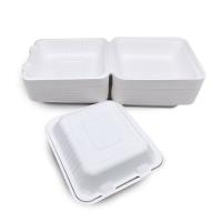 China Biodegradable Bagasse Food Container 215mm Take Away Lunch Box Eco Friendly Sugarcane Packaging for sale