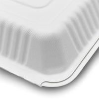 China Biodegradable Bagasse Food Container 215mm Take Away Lunch Box Eco Friendly Sugarcane Packaging for sale